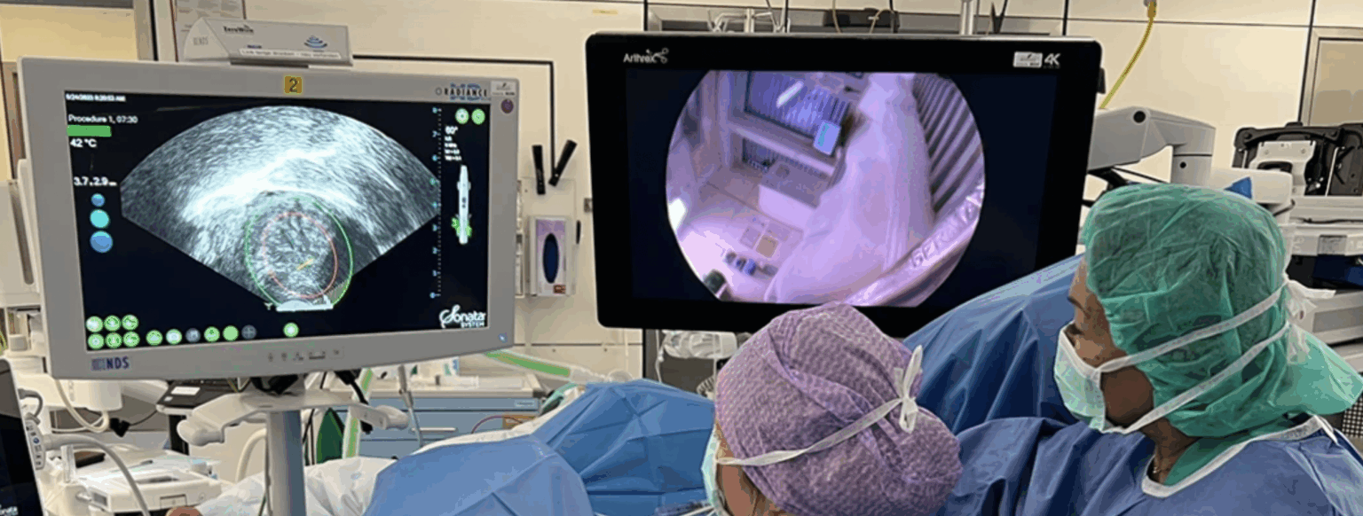 Yselty a base di Linzagolix per i fibromi - MALEDETTO FIBROMA